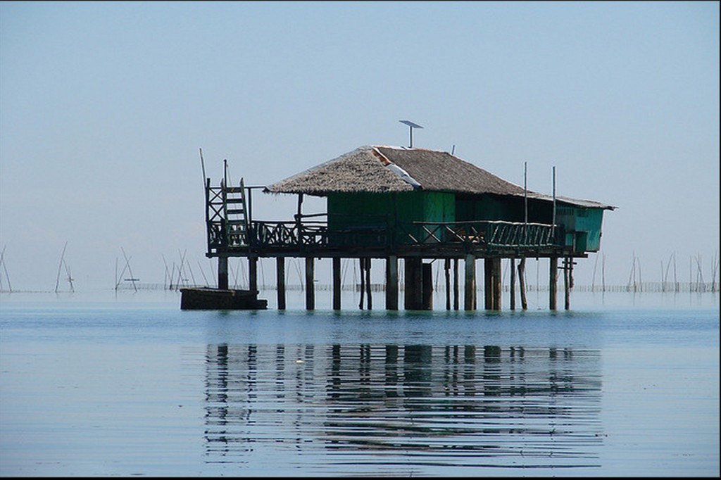 Manjuyod White Sand Bar in Bais City, Negros Oriental - AttractTour