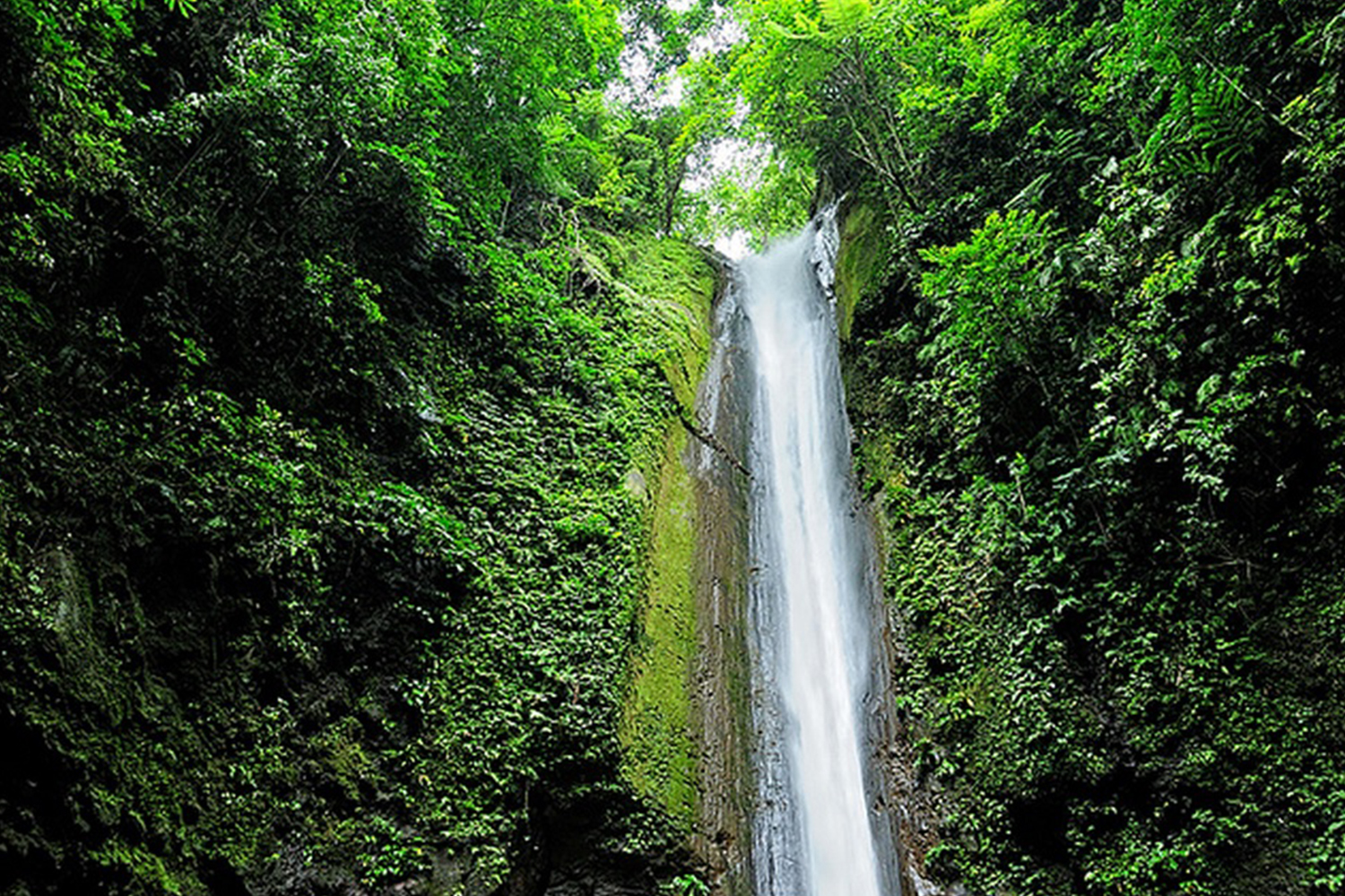 Top Visited Tourist Spots in Negros Oriental, Philippines - AttractTour