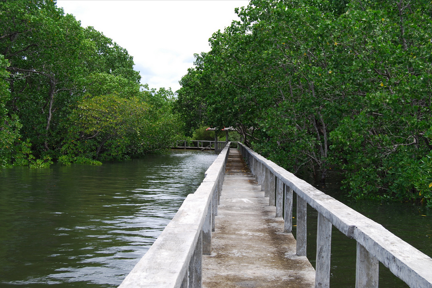 Bird Sanctuary and Mangrove Forest Park is Top Visited Tourist Spot of ...