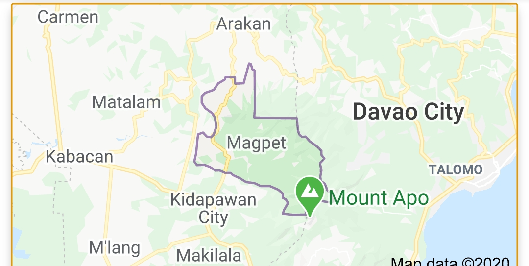 African Swine Fever Detected in 4 Barangays in Magpet Cotabato, says DA ...